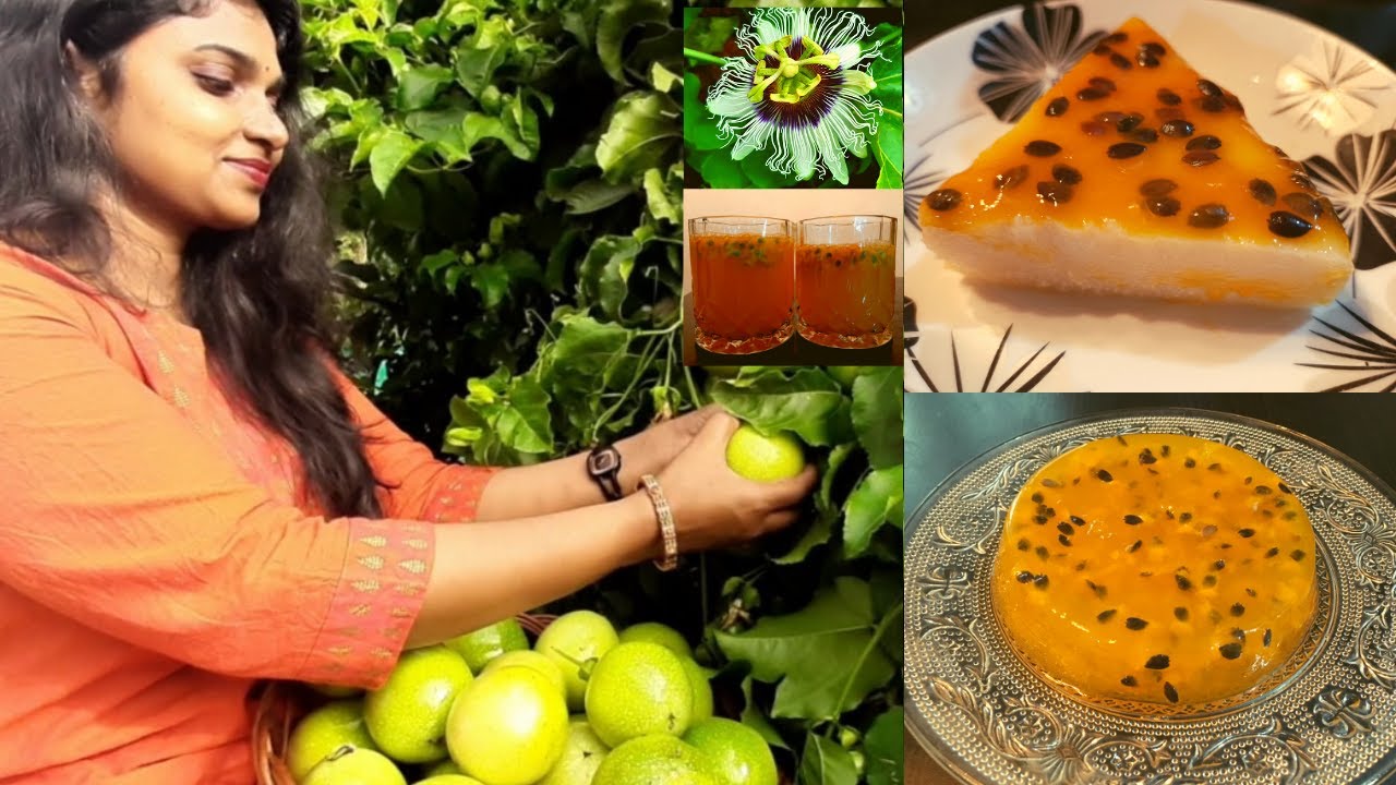 krishna phala |Passion fruit health benefits |how to prepare passion ...