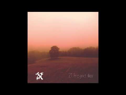 ZT Project - Ex Ordinateo Veni Pecunia