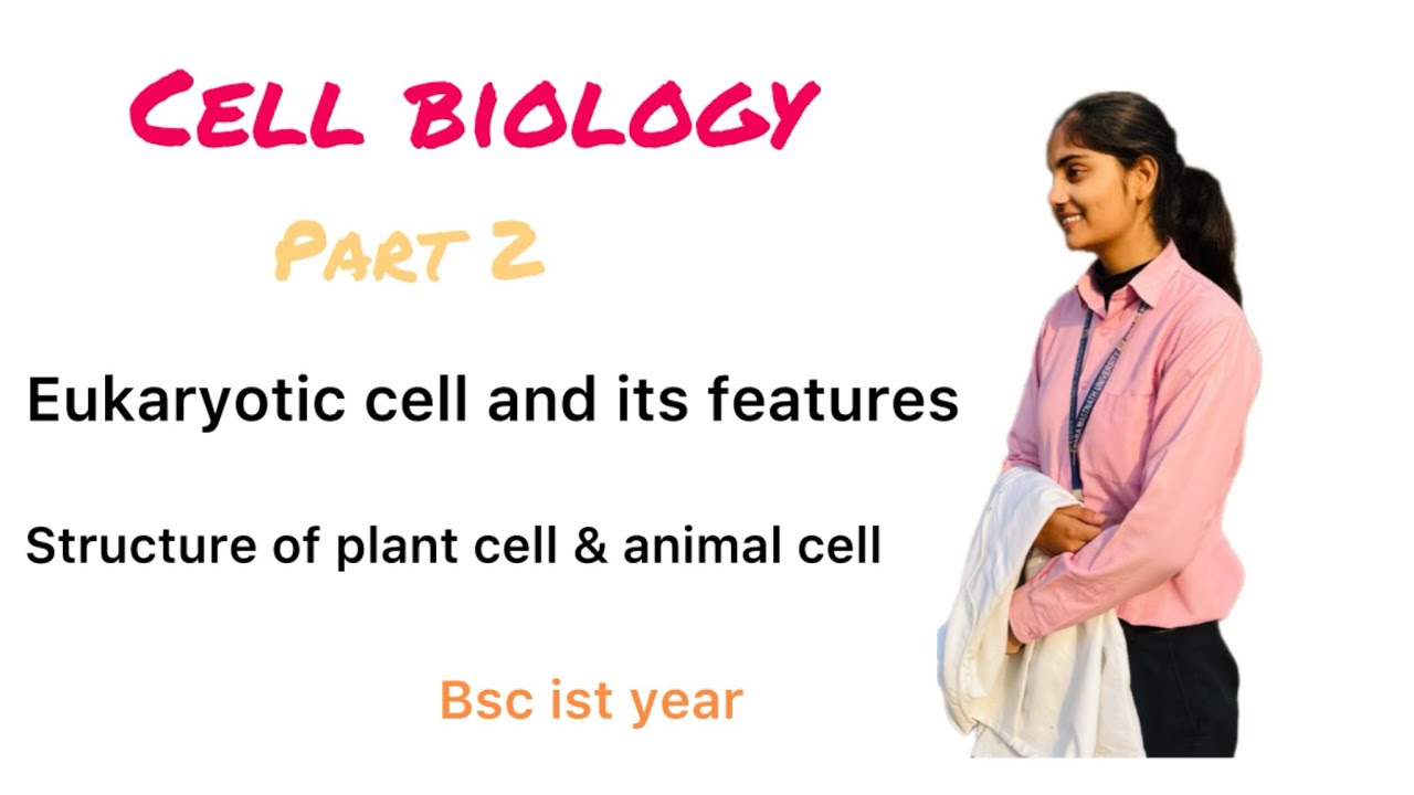 Eukaryotic cell || str. of plant cell & animal cell || difference ...
