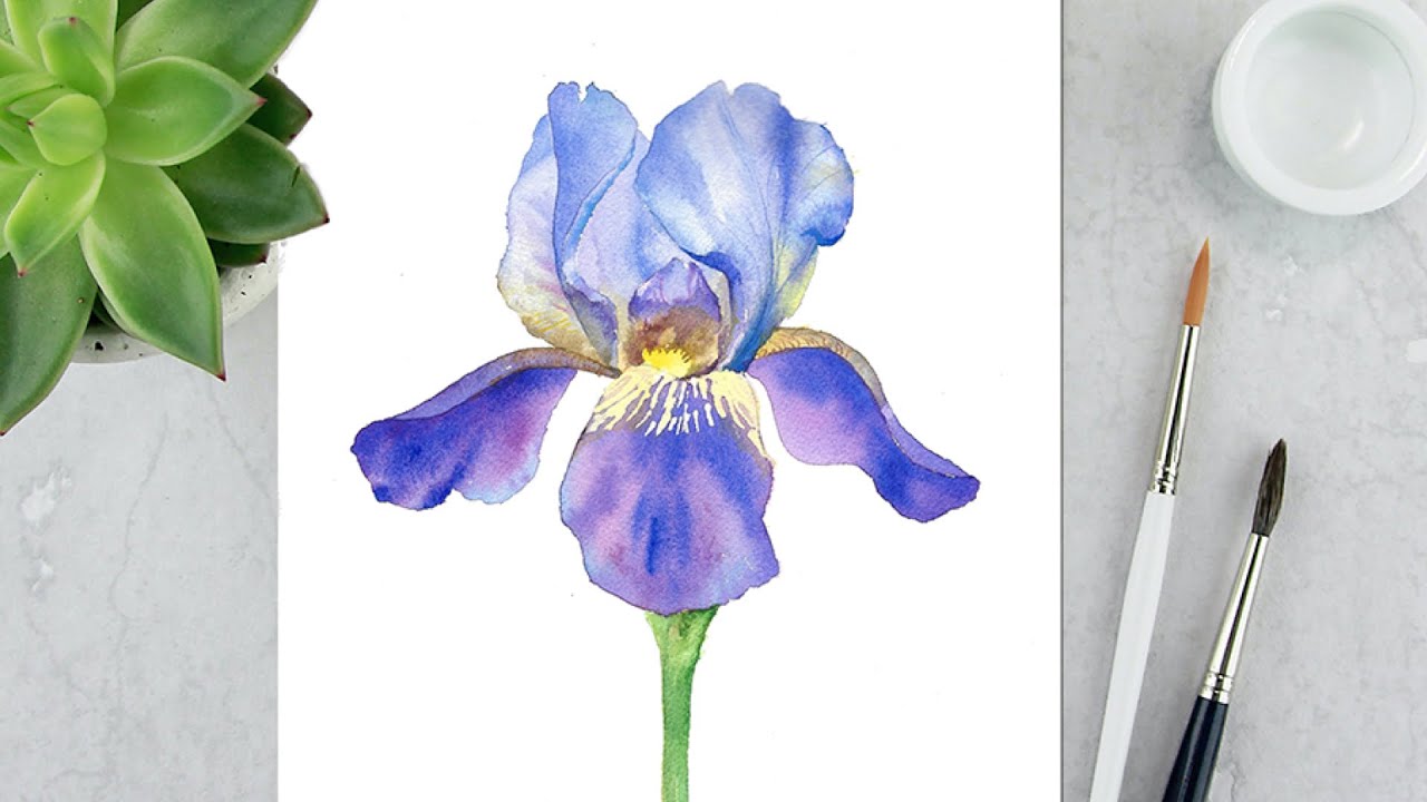 Realistic Iris Painting Tutorial (Step by Step Beginner's Tutorial ...