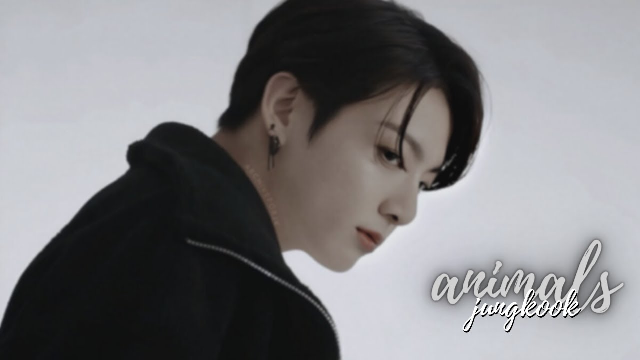 jeon jungkook animals fmv - YouTube