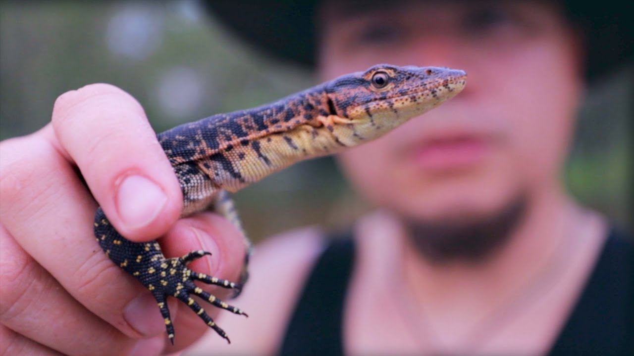 We FOUND The Rarest Python in the World - YouTube