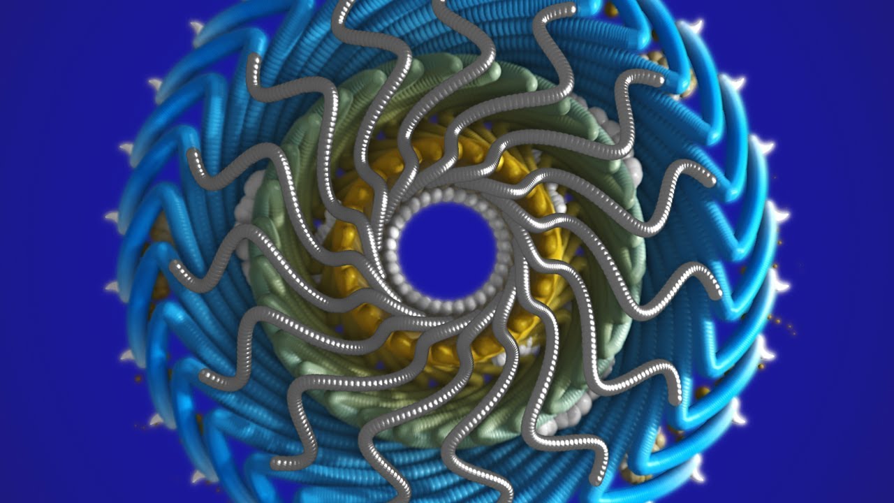 Mandala Mograph 24 | Trippy Moving Mandala | 3d Animated CG - YouTube