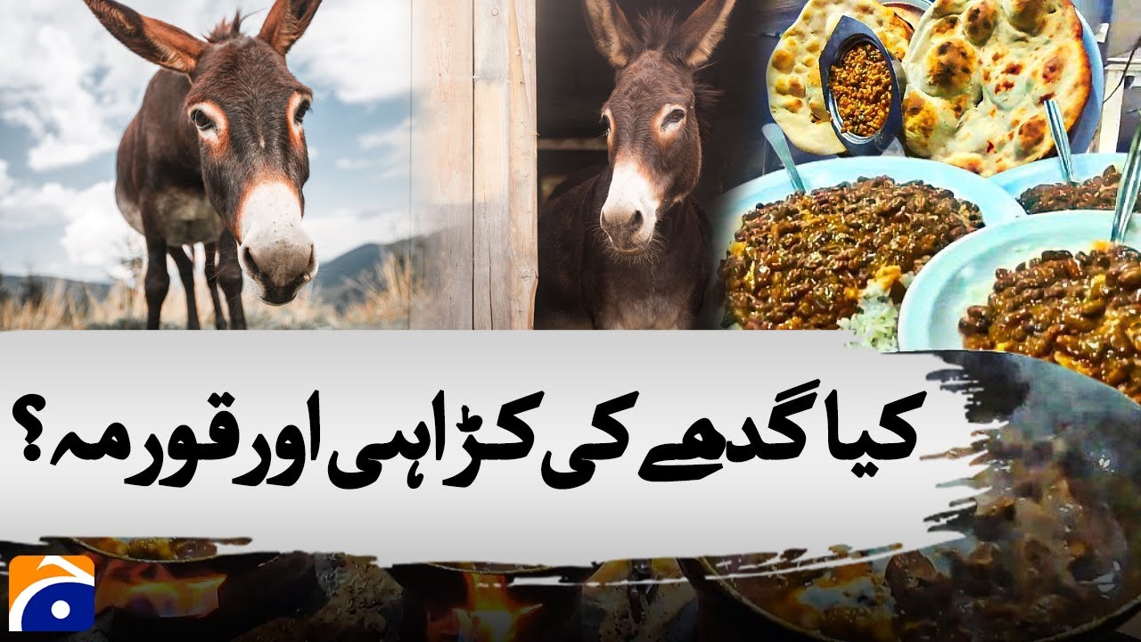 Donkey Karahi and Korma? - Donkey Slaughter House | Geo Explainer - YouTube