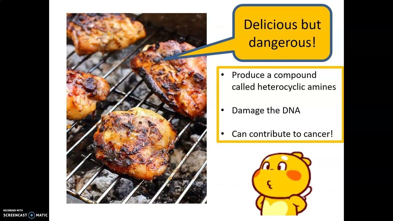 LECTURE CHAPTER 7 MUTATION PART 2 - YouTube