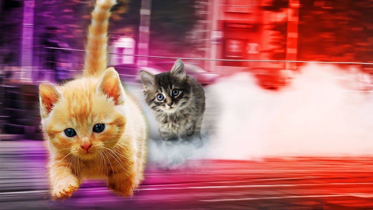 TEAM DRIFT CATS! EP. 2 - YouTube