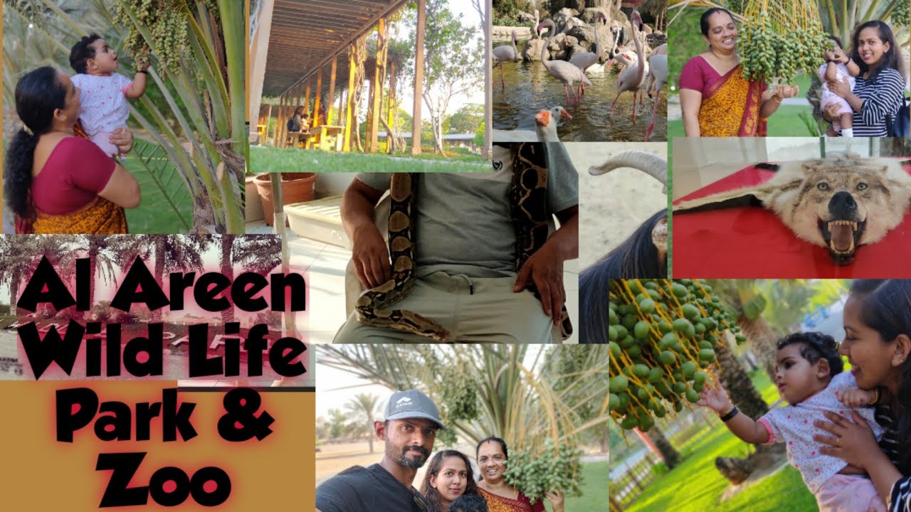 Al Areen Wild Life Park & Reserve Zoo/Bahrain/Places to visit/Explore ...