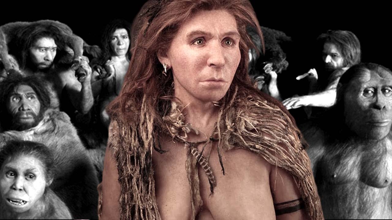 A Brief History Of The Mass Extinction Of Ancient Human Species - A Day ...