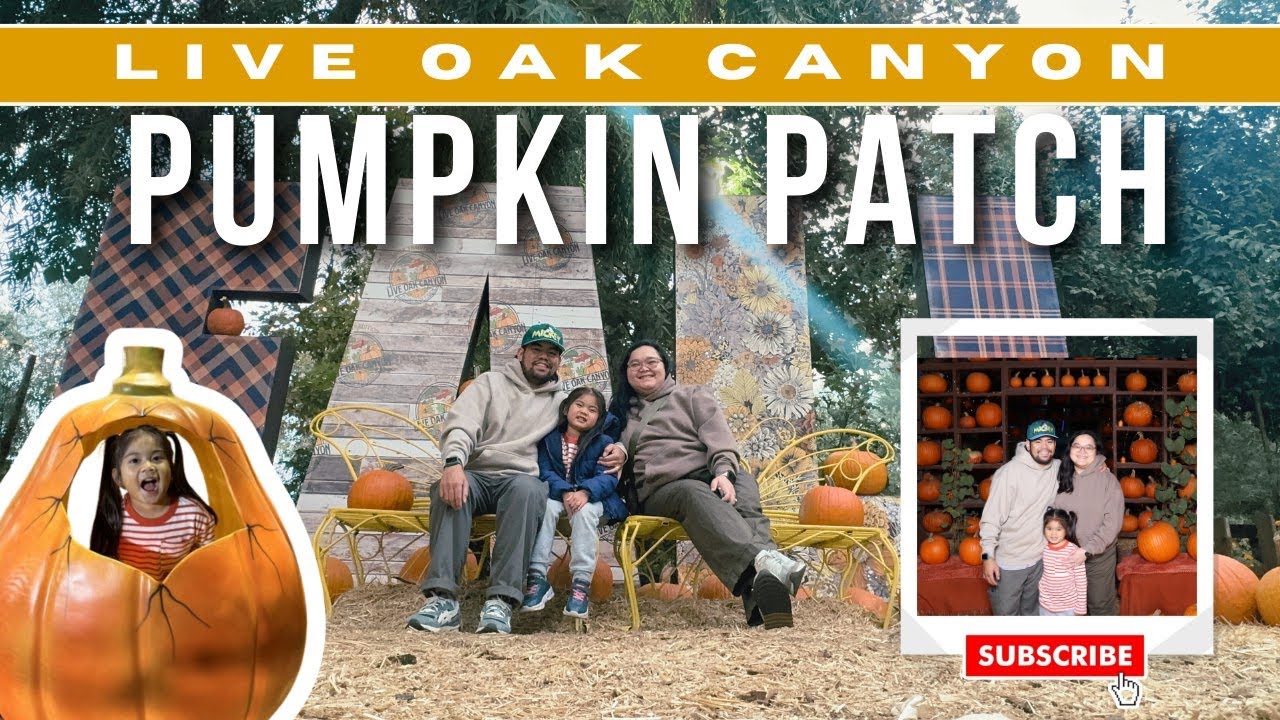 Live Oak Canyon Pumpkin Patch 2024 | Redlands, CA - YouTube