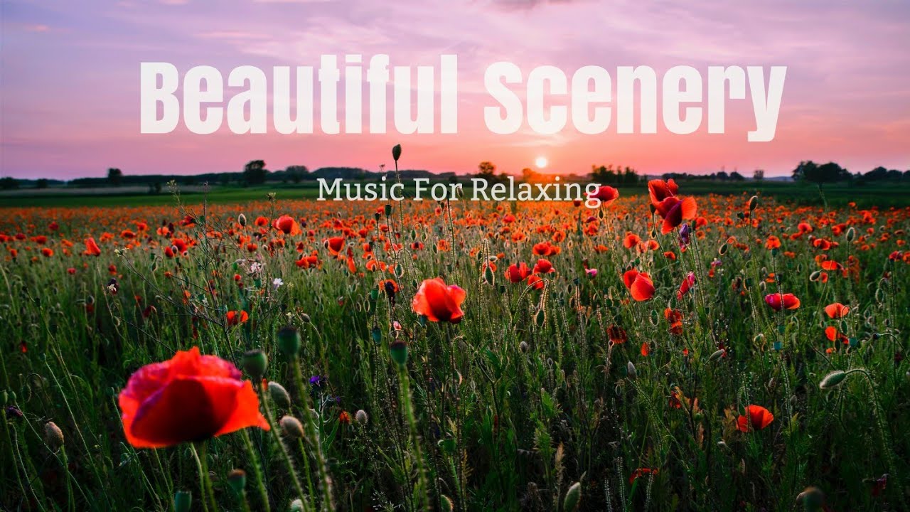 BEAUTIFUL CALM MUSIC - Wake Up Happy - Meditation Music, Healing Music ...