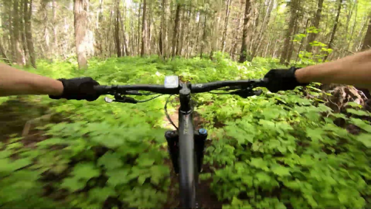 CROSS HARES - YouTube