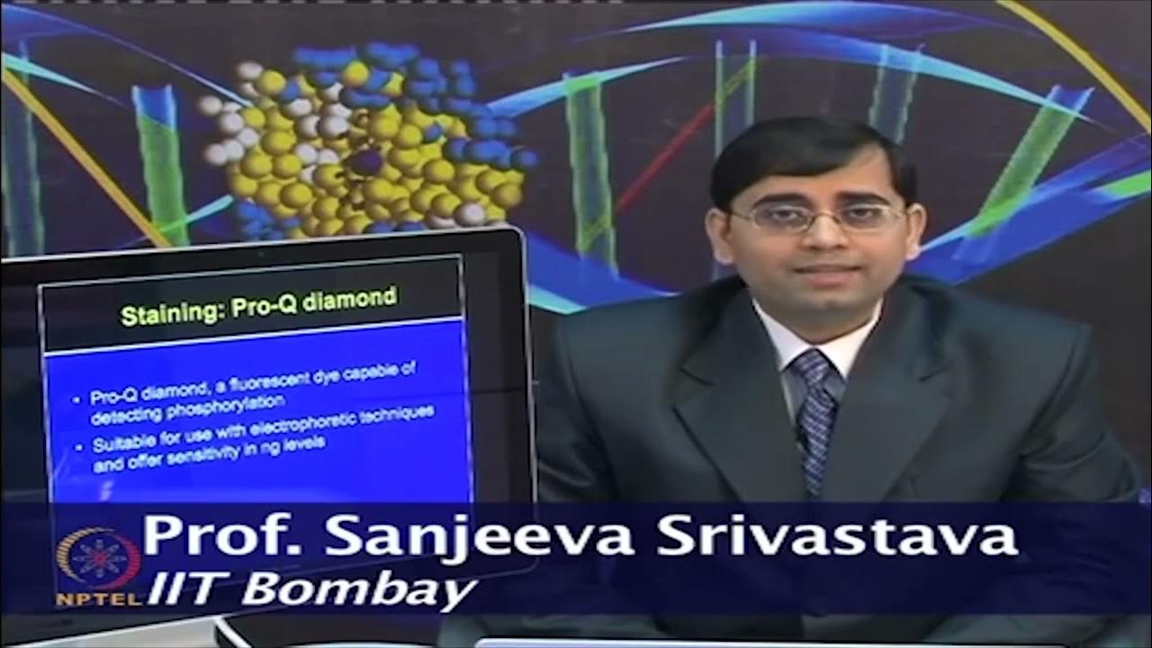 Gel-based Proteomics Two-dimensional electrophoresis Workflow #ch17sp #swayamprabha - YouTube