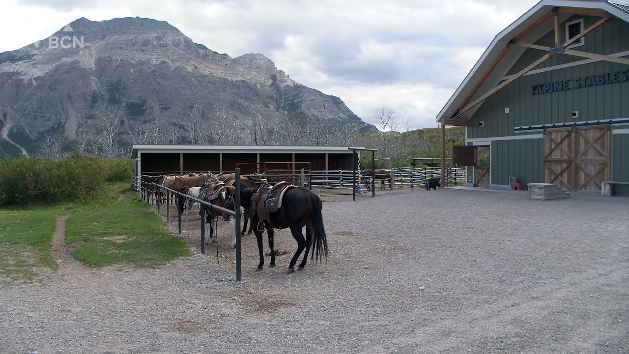 Alpine Stables Legacy | Thursday, September 14, 2023 | Angela Stewart ...