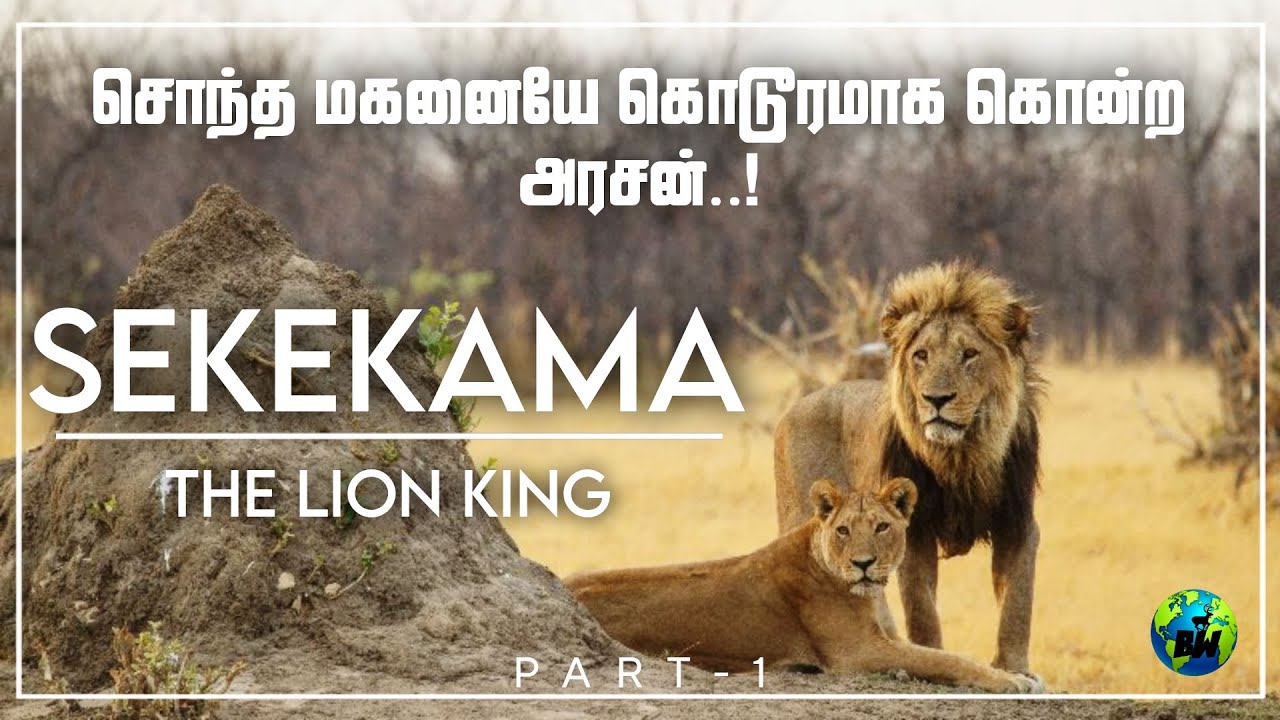 Story of Sekekama | The real lion king story | Tamil | Part-1 | life of ...
