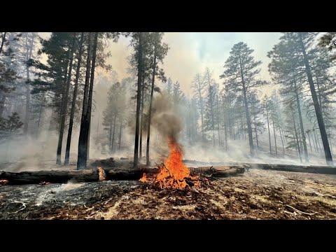 Inside an Arizona Forest Fire - YouTube