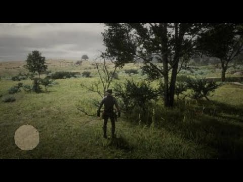 Red Dead Redemption 2: Another Princess Isabeau clue - YouTube