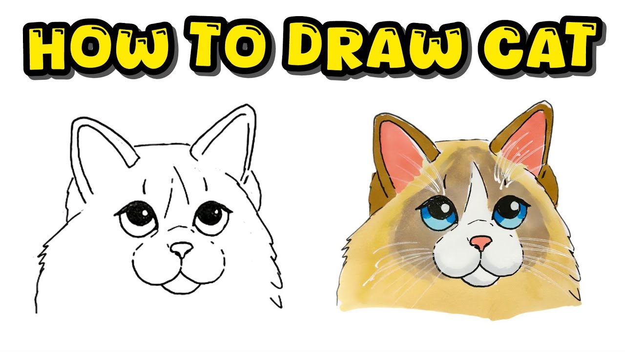 Follow Along with Colors and Learn How to Draw Fluffy Cat with Markers ...