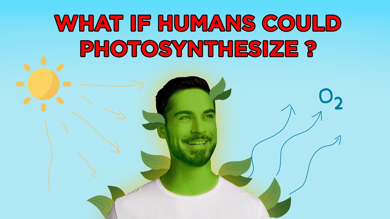 What If Humans Could Photosynthesize? - YouTube