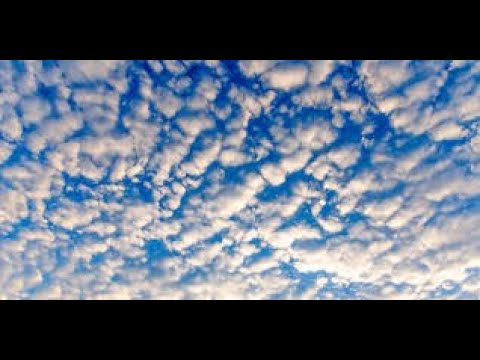 Kate Bush Cloudbusting - YouTube