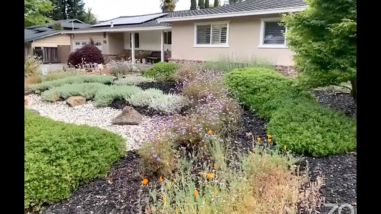 California Native Trees For Front Yards CA Native Garden Before