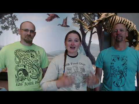 2020 Digs & Shirts - YouTube
