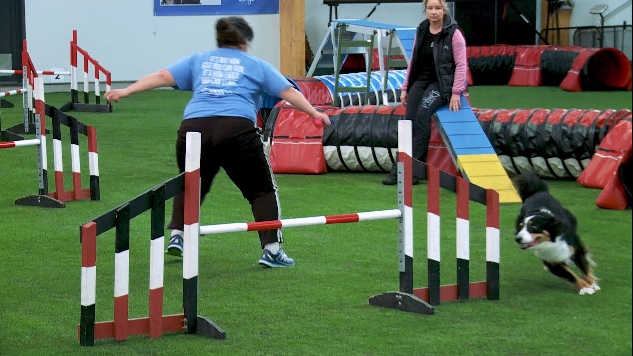 Coming Up: International Agility Training Week - Delayed Head Turn ...