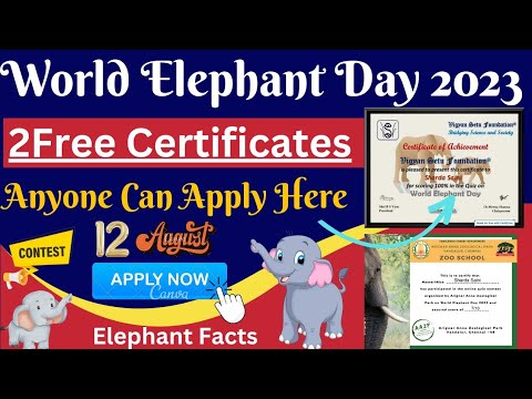 2Free World Elephant Day 2023 Certificates | Online Quiz Contest on ...
