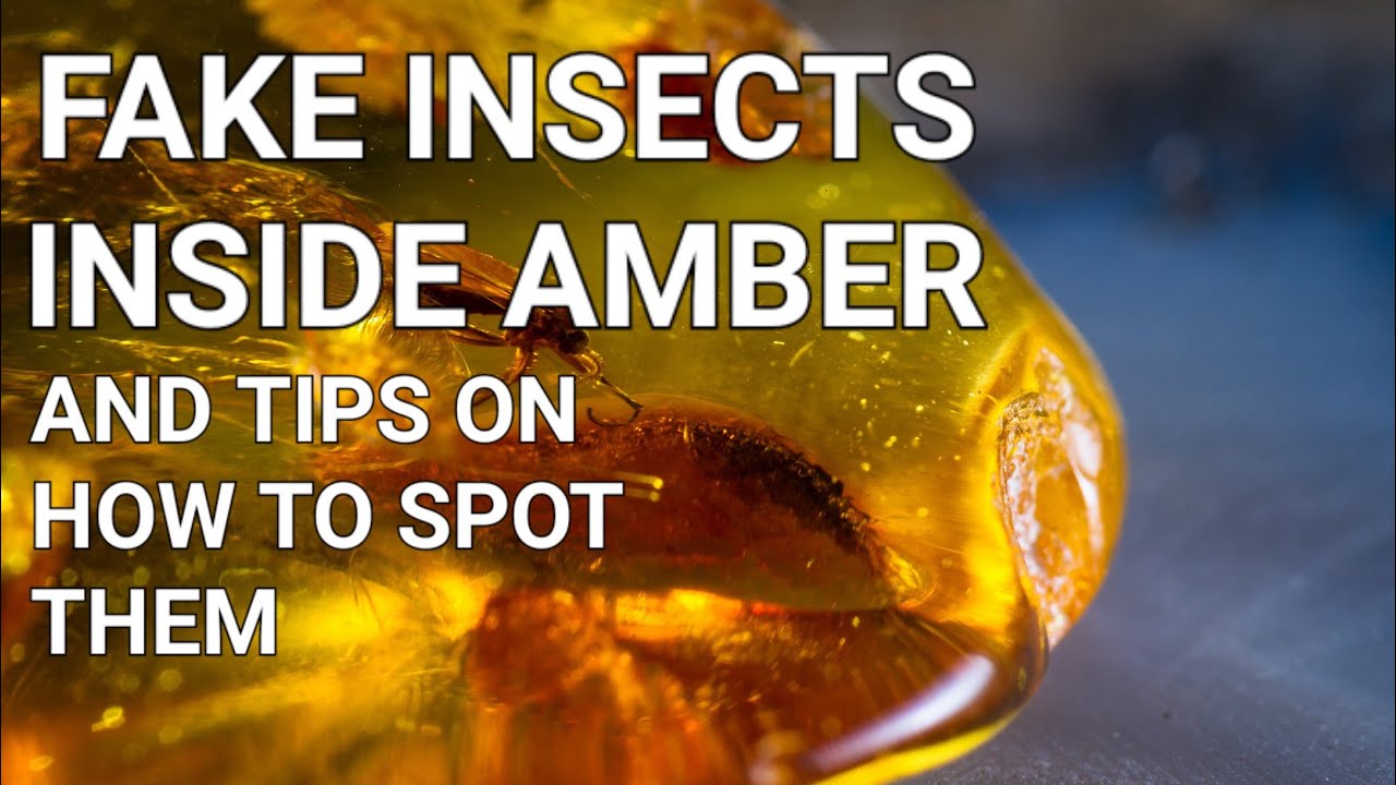 Fake Amber Specimens - YouTube