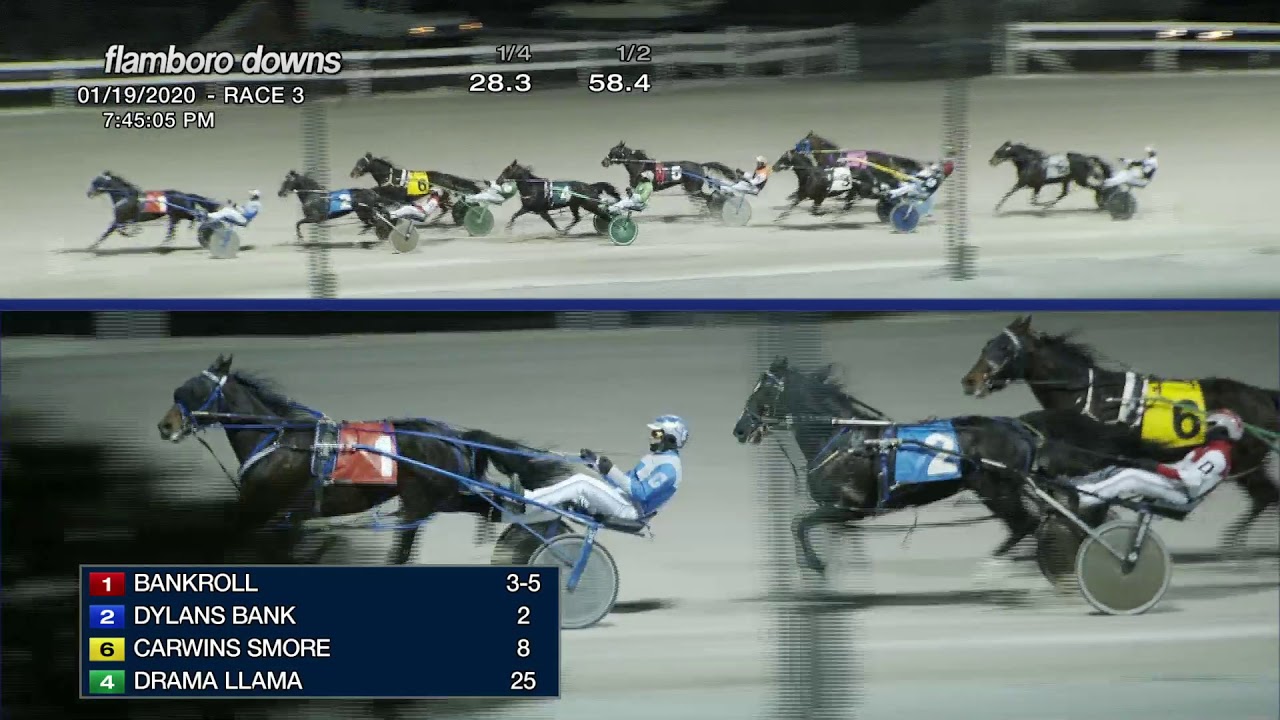 JAN 19,2020-Race 3-FLAMBORO DOWNS - YouTube