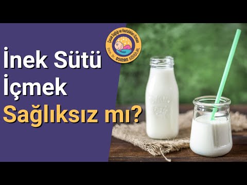 İnek sütü İçmek Sağlıksız mı?