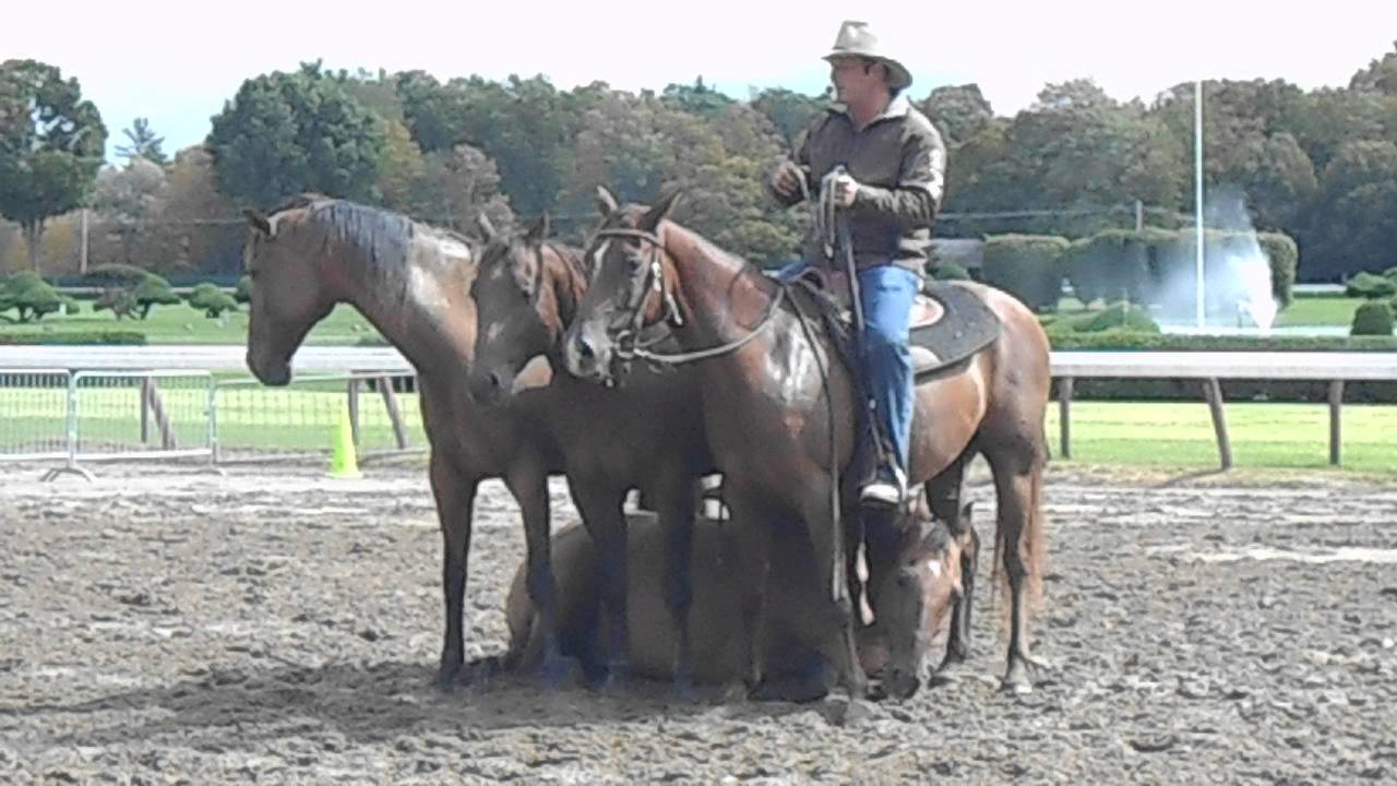 Guy McLean - Australian Horsemanship - Part 2 - 9/22/13 - YouTube