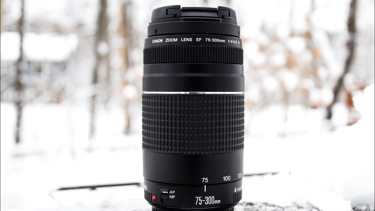 Best budget telephoto lens under $100? Canon EF 75-300mm lens - YouTube