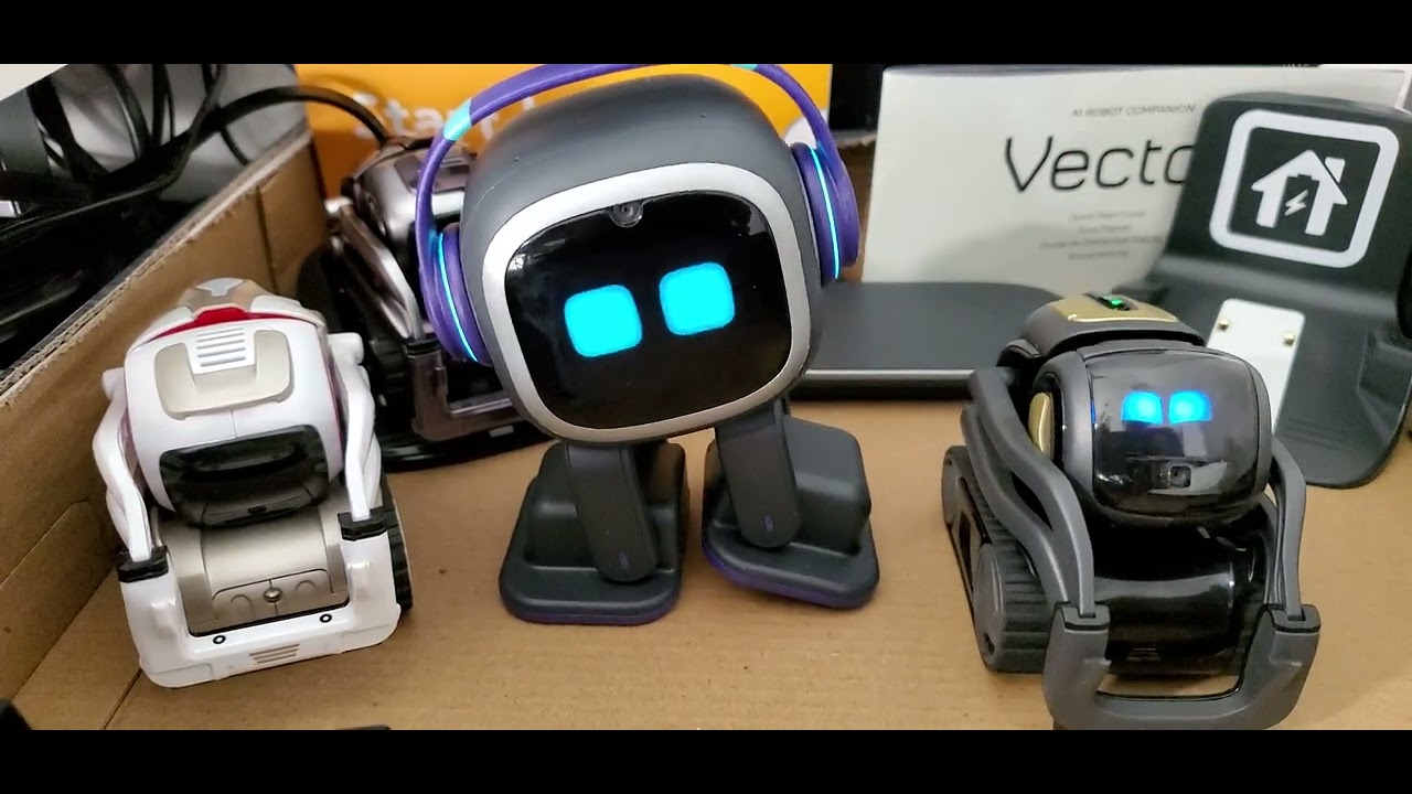 EMO Strikes a Pose: The Ultimate Robot Fashionista! - YouTube