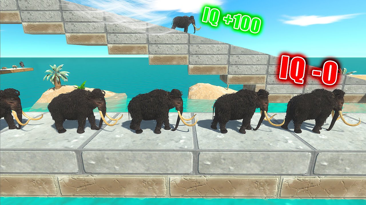 Smart vs. Dumb Animals – Race to the Cube Over Shark-Infested Waters ...