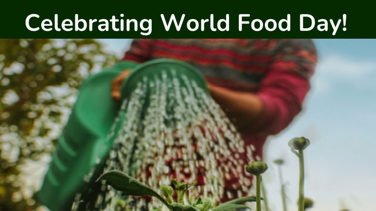 World Food Day Discussions - Water Utilization - YouTube