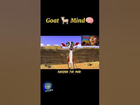 Goat Mind🧠#youtubeshorts #viral #shorts #fact #comedy - YouTube