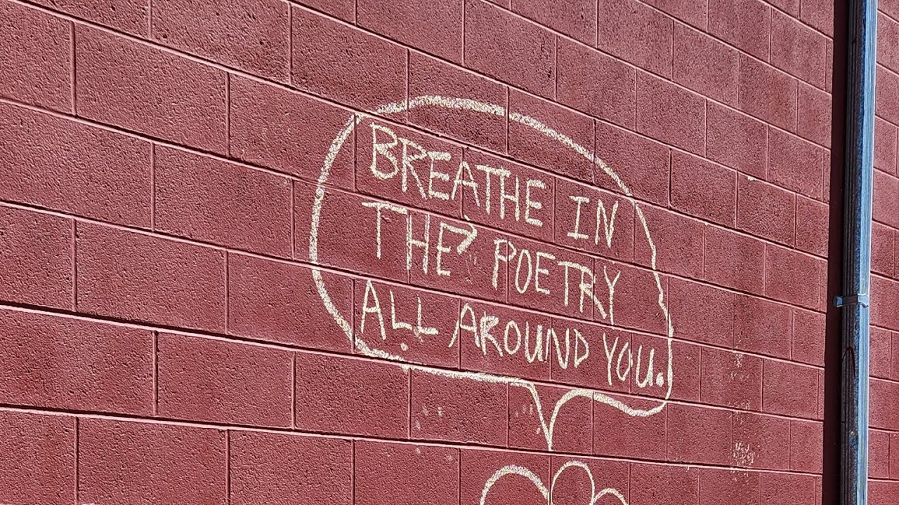 Love Poem From Octopus To Platypus - YouTube