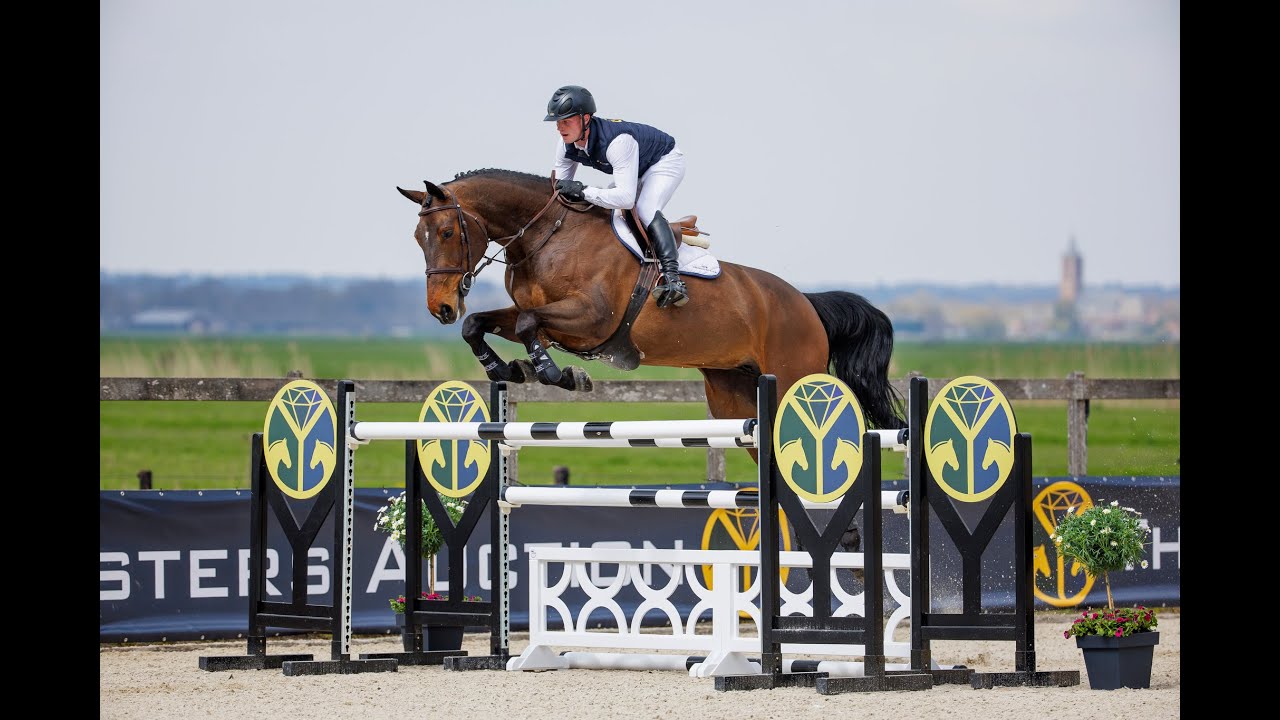 19 Lalmerette (Verdi x Chellano Z) mare, 2016 - Show Video ...