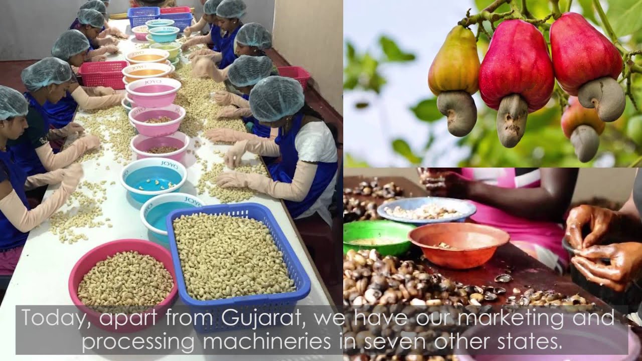 Rami International - Achieving a Rising Growth Curve with IndiaMART ...