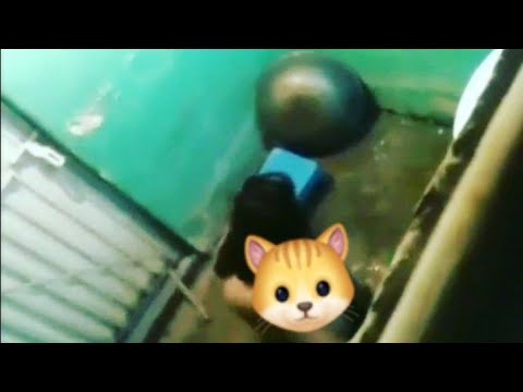 🔴Tutorial Waspada Kamera Tersembunyi Ngintip Disekitar Kita.