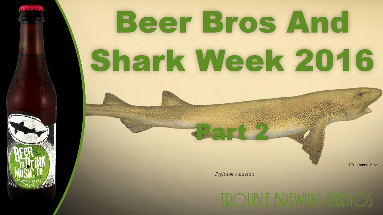 Dogfish Head Beer To Drink Music To Review - Beer Bros and Shark Week ...