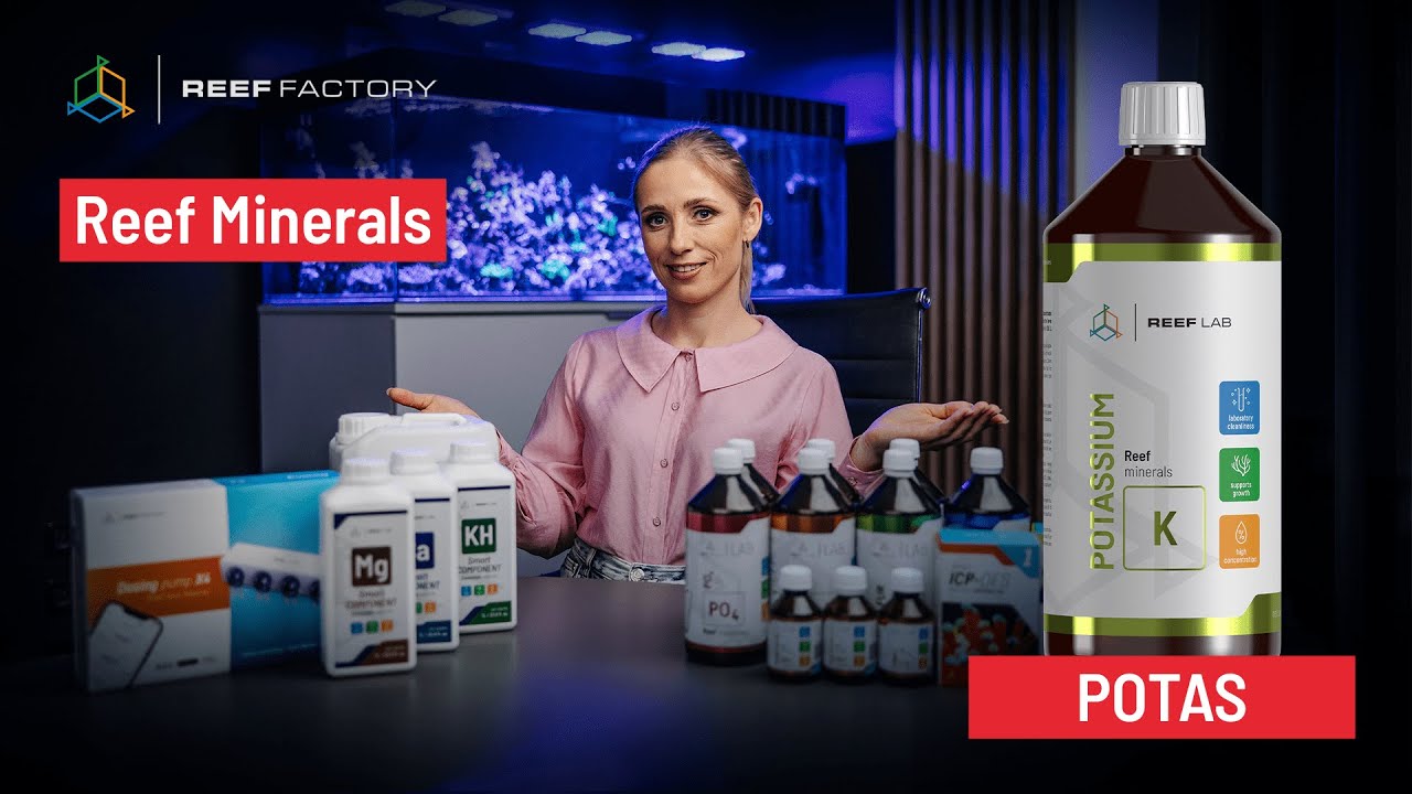 Reef Minerals: Pierwiastki w Akwarium Morskim - POTAS - YouTube