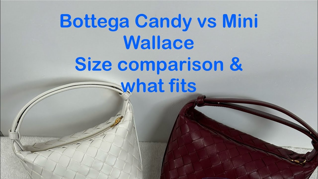 Watch before you buy! Bottega Candy Vs Mini Wallace - size comparison ...