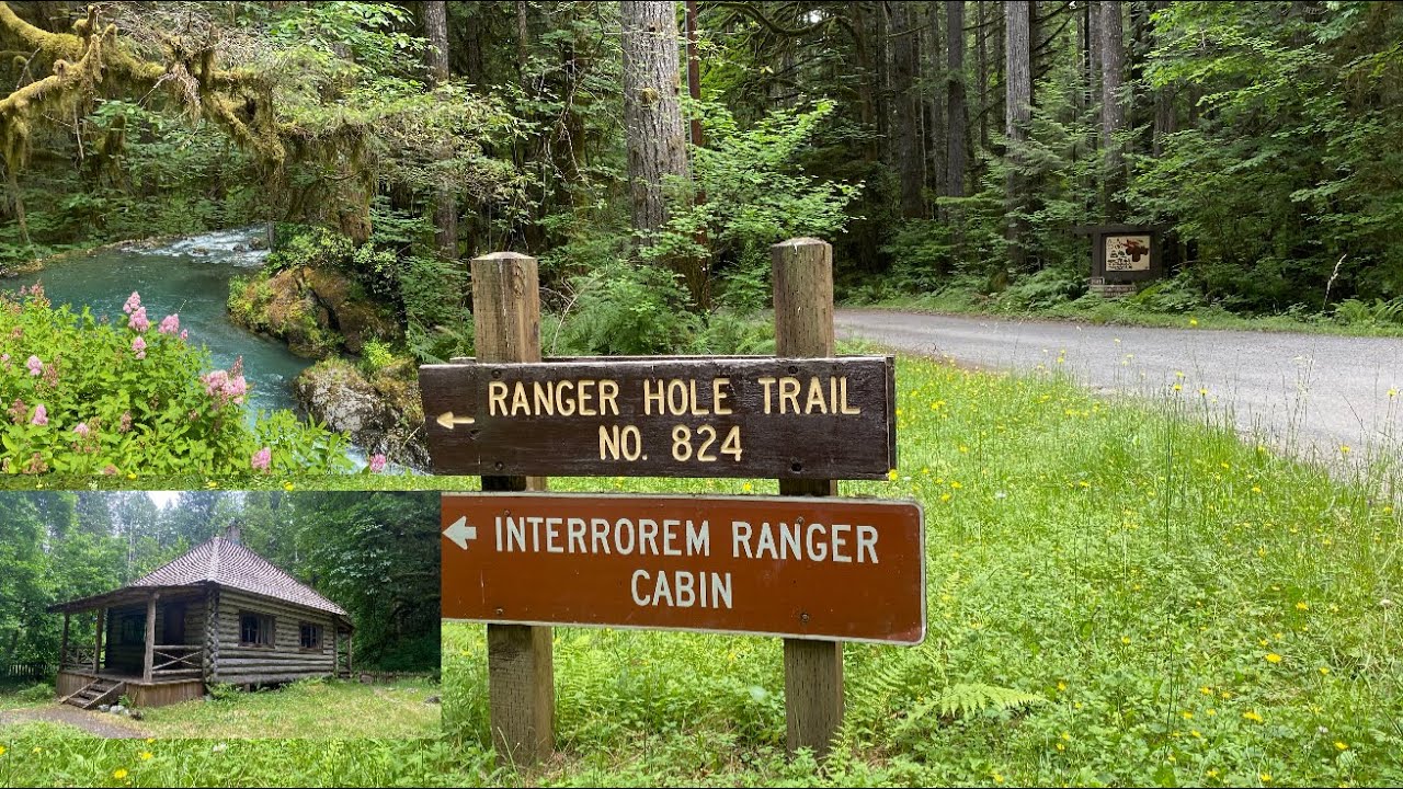 Ranger Hole Trail#824 Duckabush River, Olympic National Forest - YouTube