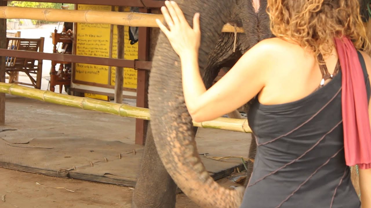 When an Elephant picks you up!! - YouTube