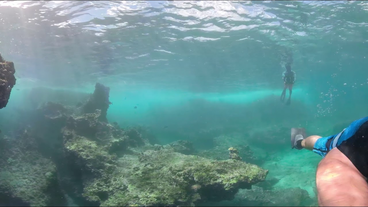 North Shore Oahu 360 Gopro Fusion Free Dive - YouTube