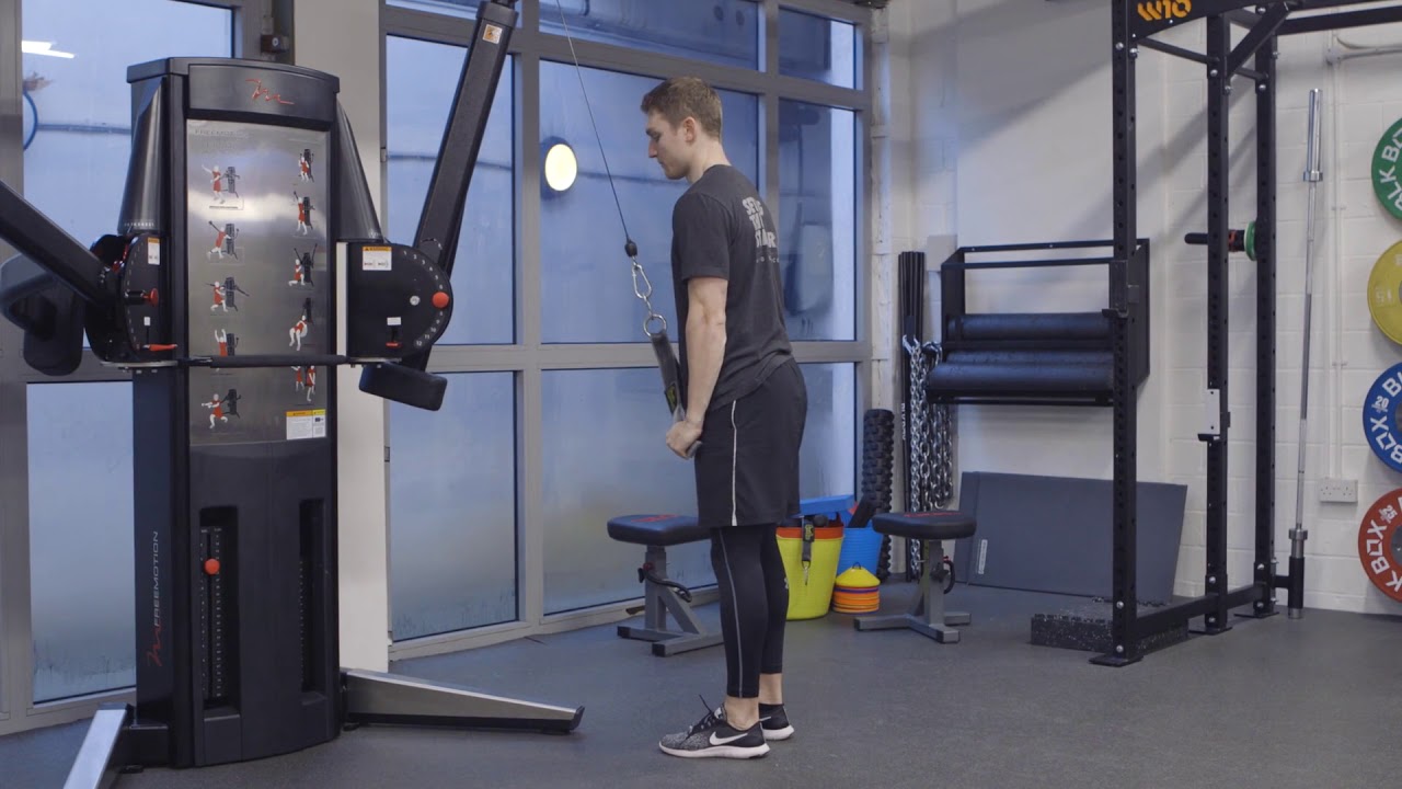 Tricep cable push down - YouTube