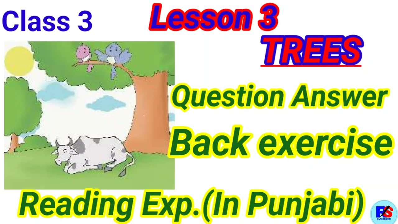 PSEB Class 3 English Lesson 3 Question Answer Punjabi PSEB Class 3 English Lesson 3 Question Answer Punjabi