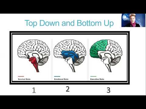 Bottom-Up Treatment Approaches to Trauma Treatment