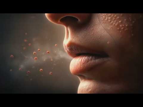 How Viruses Invade and Spread - YouTube